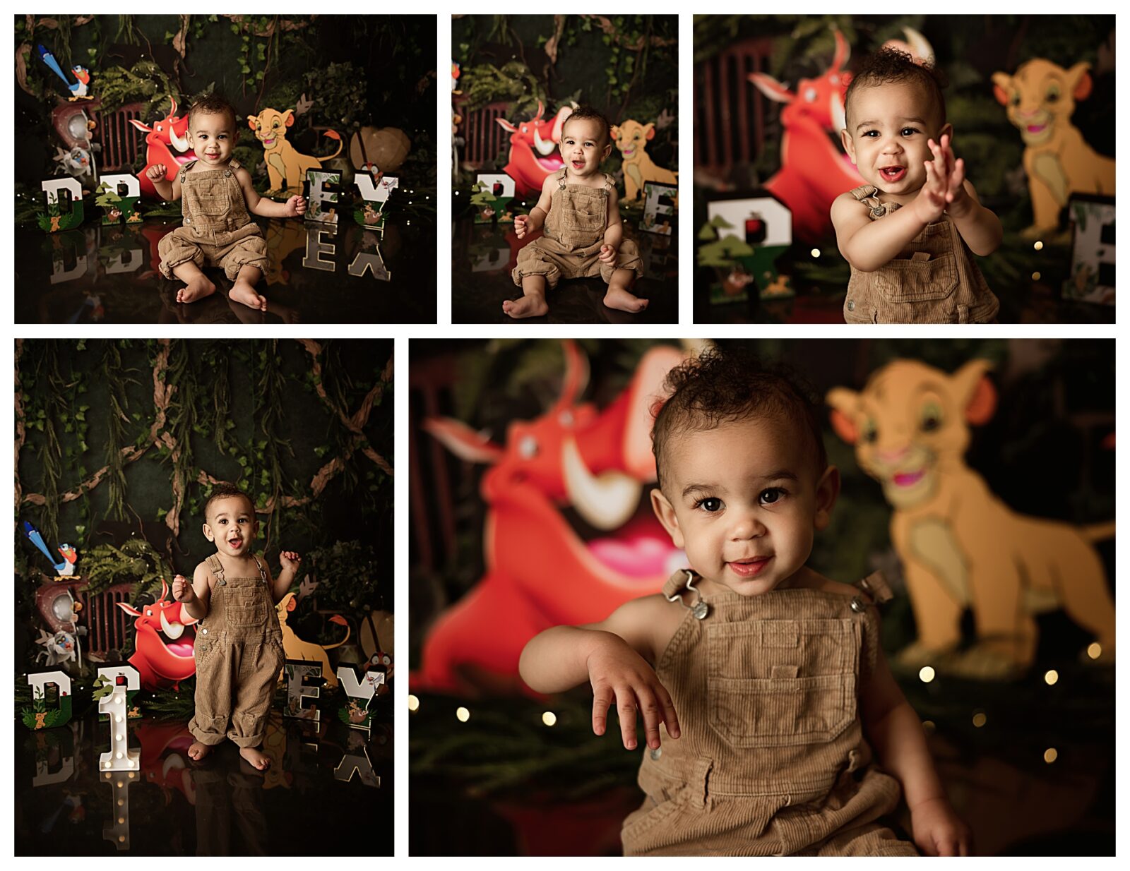 Lion King Cake Smash | Cake Smash Photographer